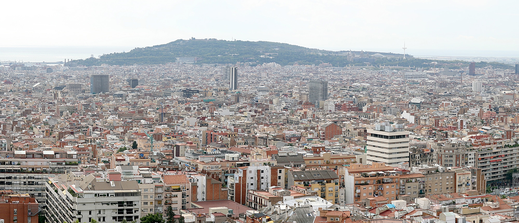 How Progressive Cities Can Reshape The World And Democracy - Sanders ...