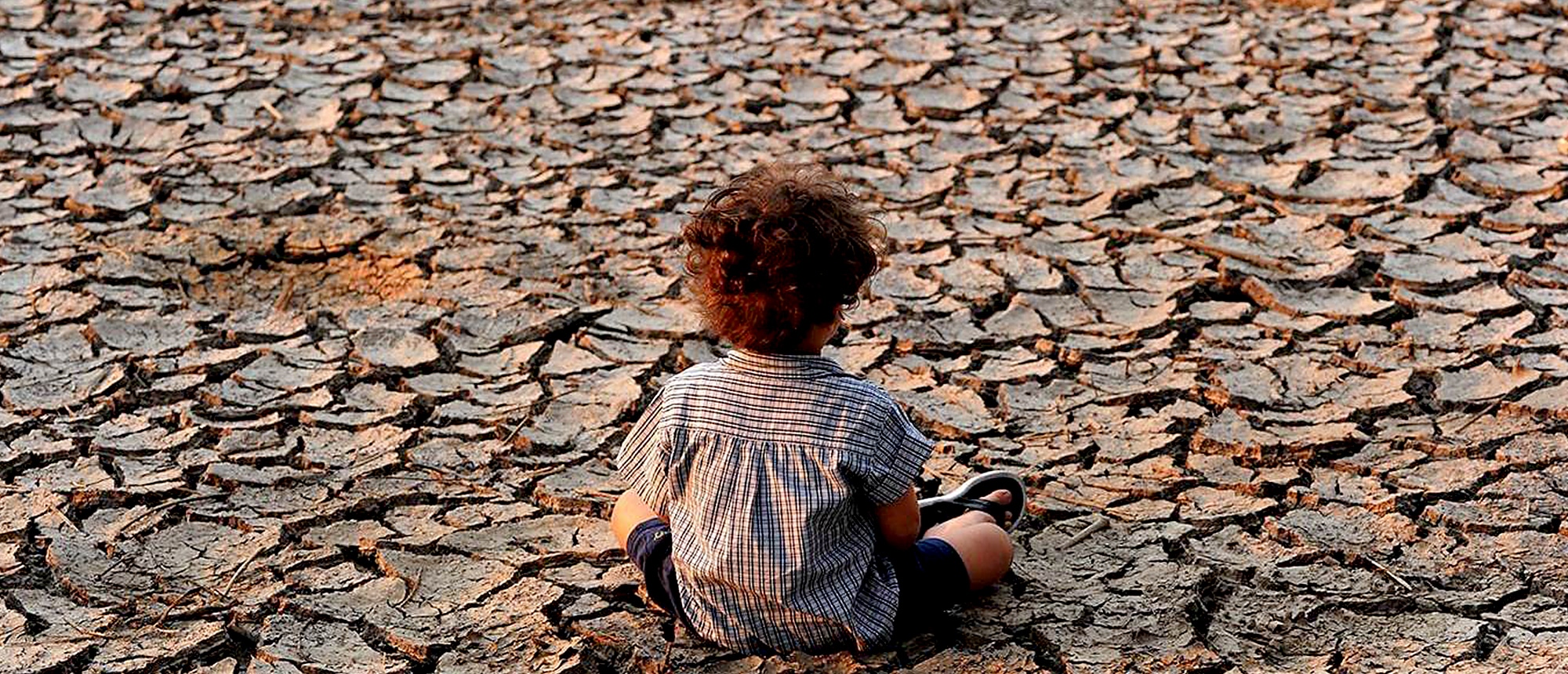 We Are All Climate Refugees Now - The Sanders Institute